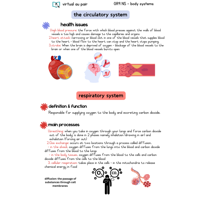 Grade 9 Life Science Body Systems Summary PDF - Virtual Au Pair