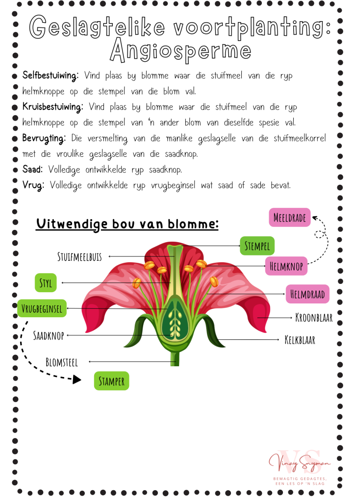 GR.7 NW kwartaal 1 : Geslagtelike voortplanting van Angiosperme ...
