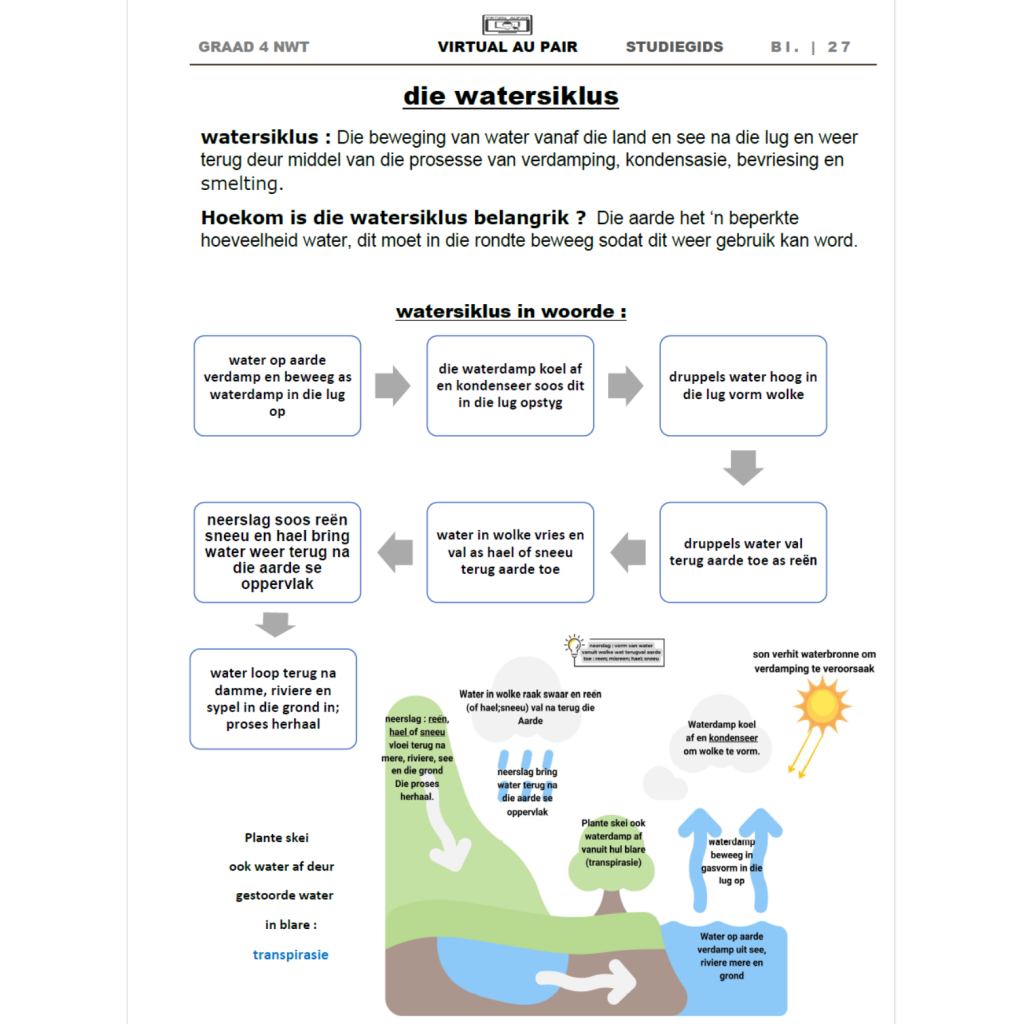 Graad 4 PDF opsommings en toetse CAPS belyn vir die eksamen