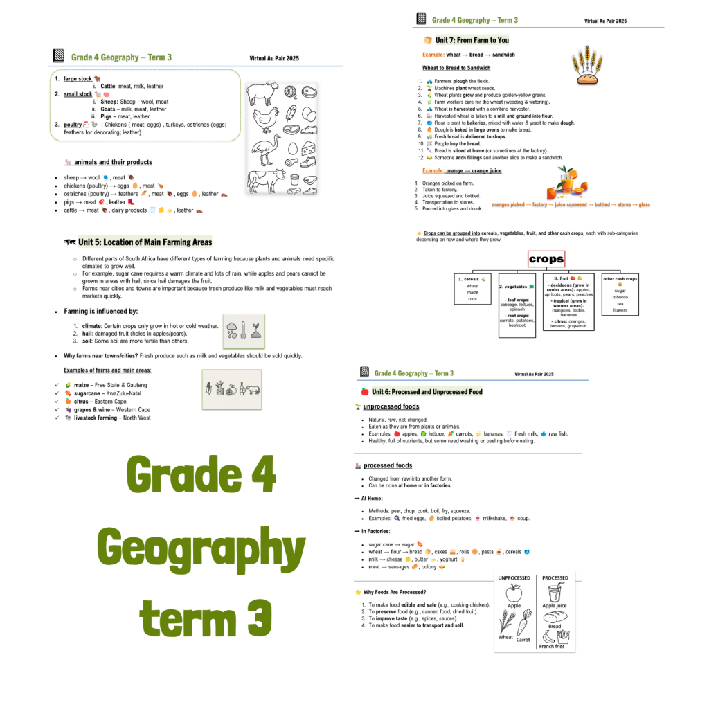 Grade 4 Geography Term 3 | People, Farming & Food PDF