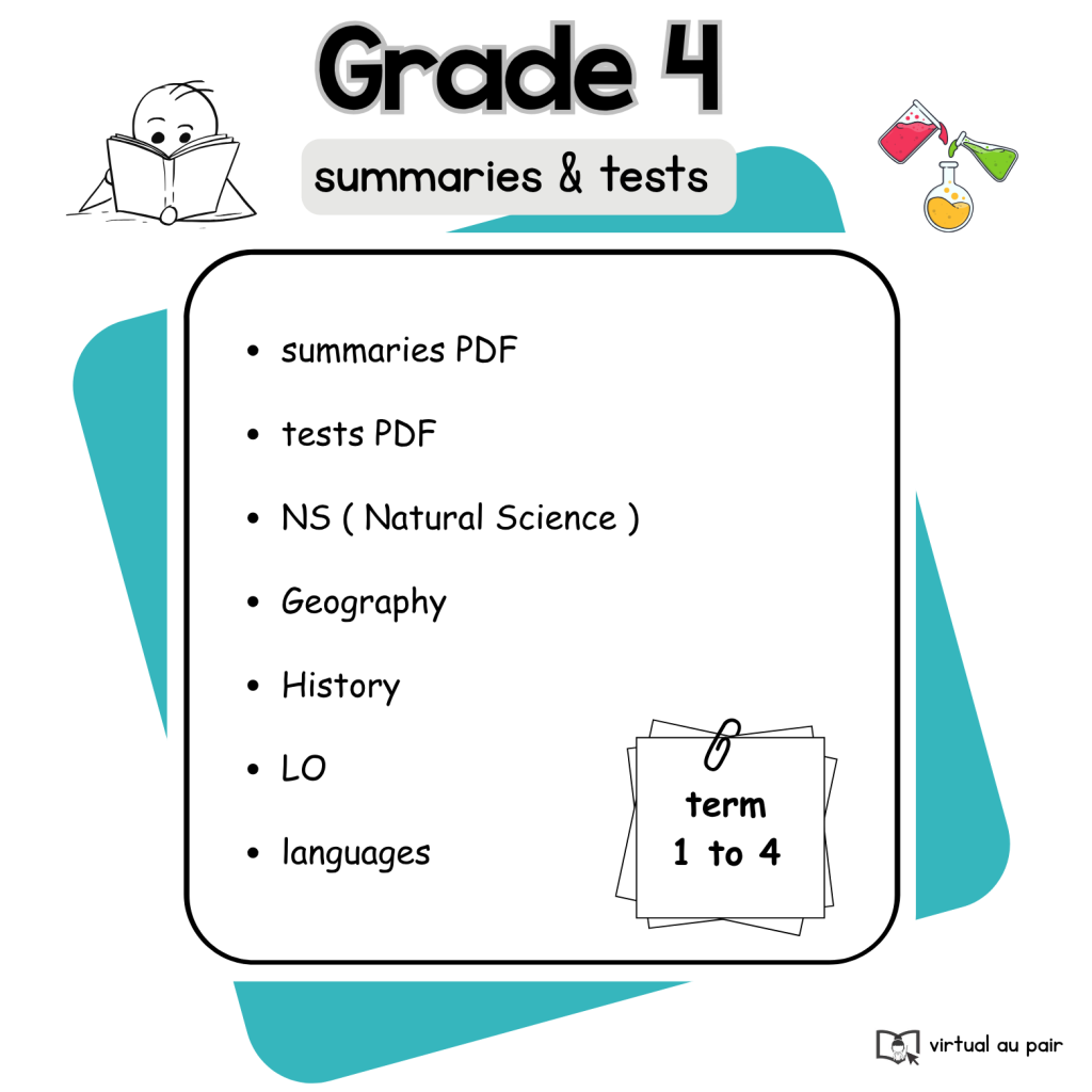 Grade 4 NST term 3 summary and workbook PDF